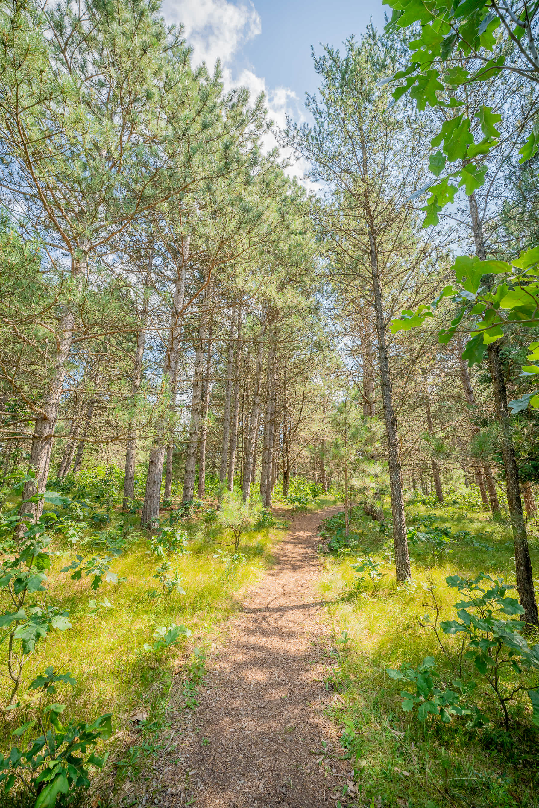 Emrick lake Campground & Resort - Hipcamp in Oxford, Wisconsin