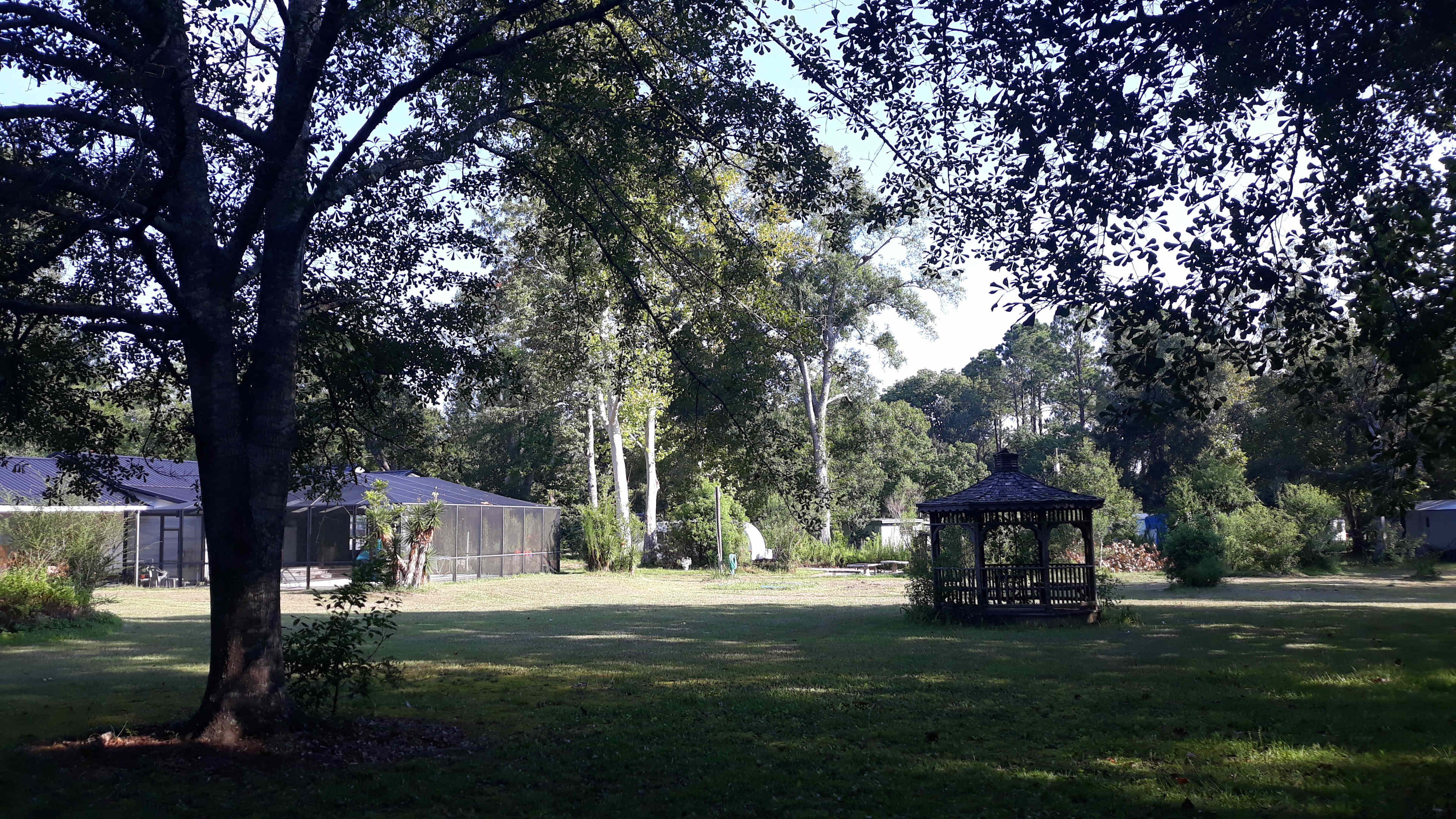 Rustic Rural Retreat - Hipcamp in Chipley, Florida