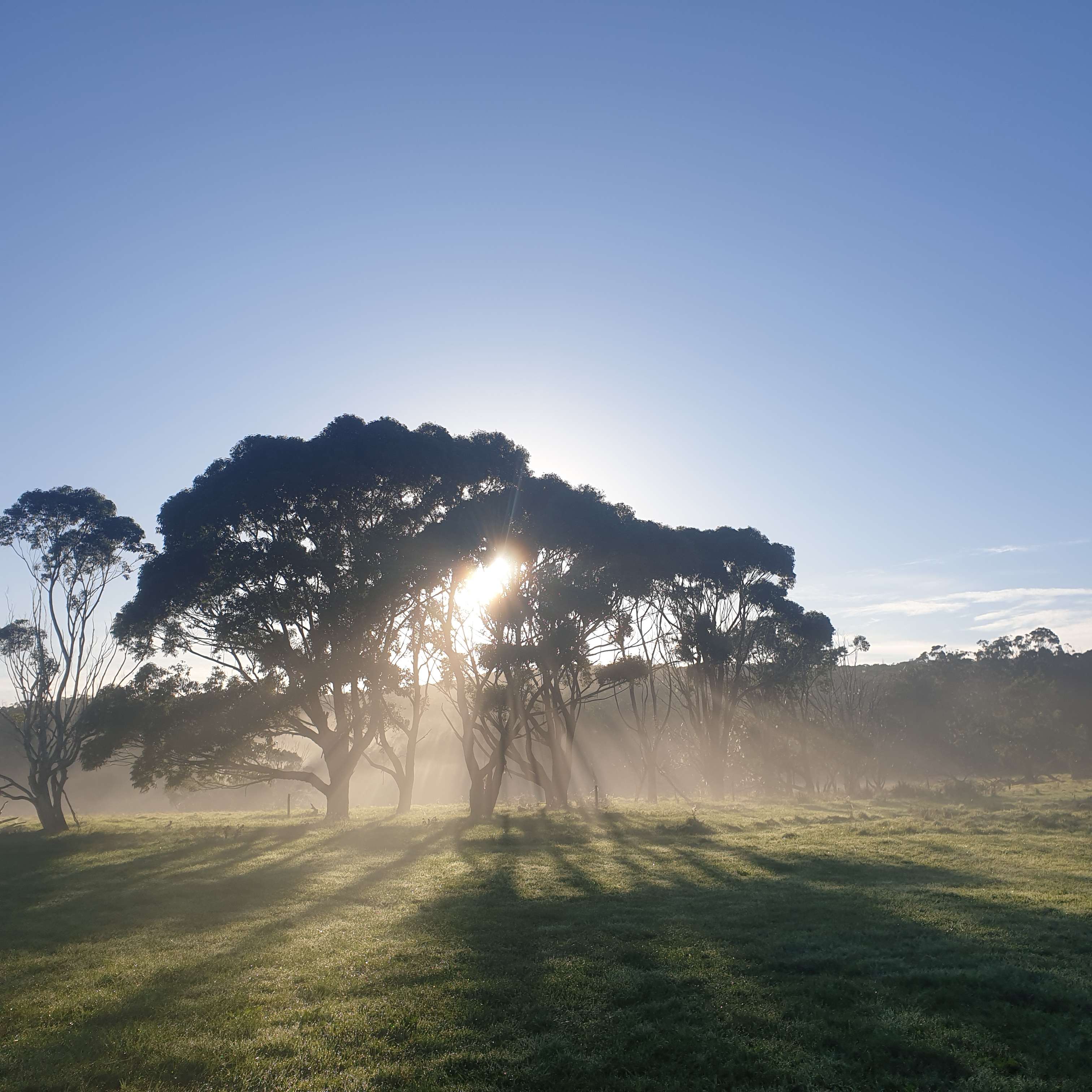 Sanctum Otway - Hipcamp in Hordern Vale, Victoria