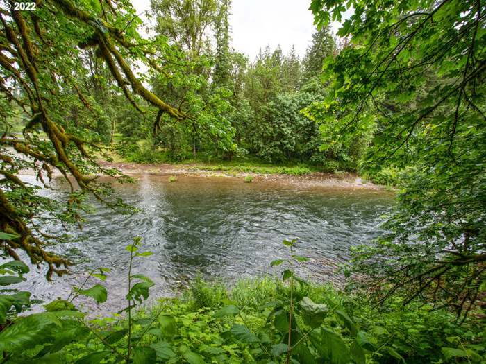 Scenes From Avatar - Hipcamp in Washougal, Washington