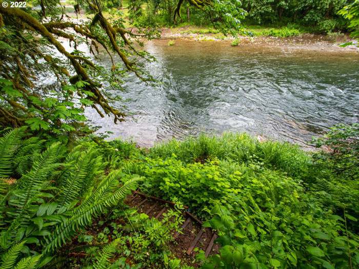 Scenes From Avatar - Hipcamp in Washougal, Washington