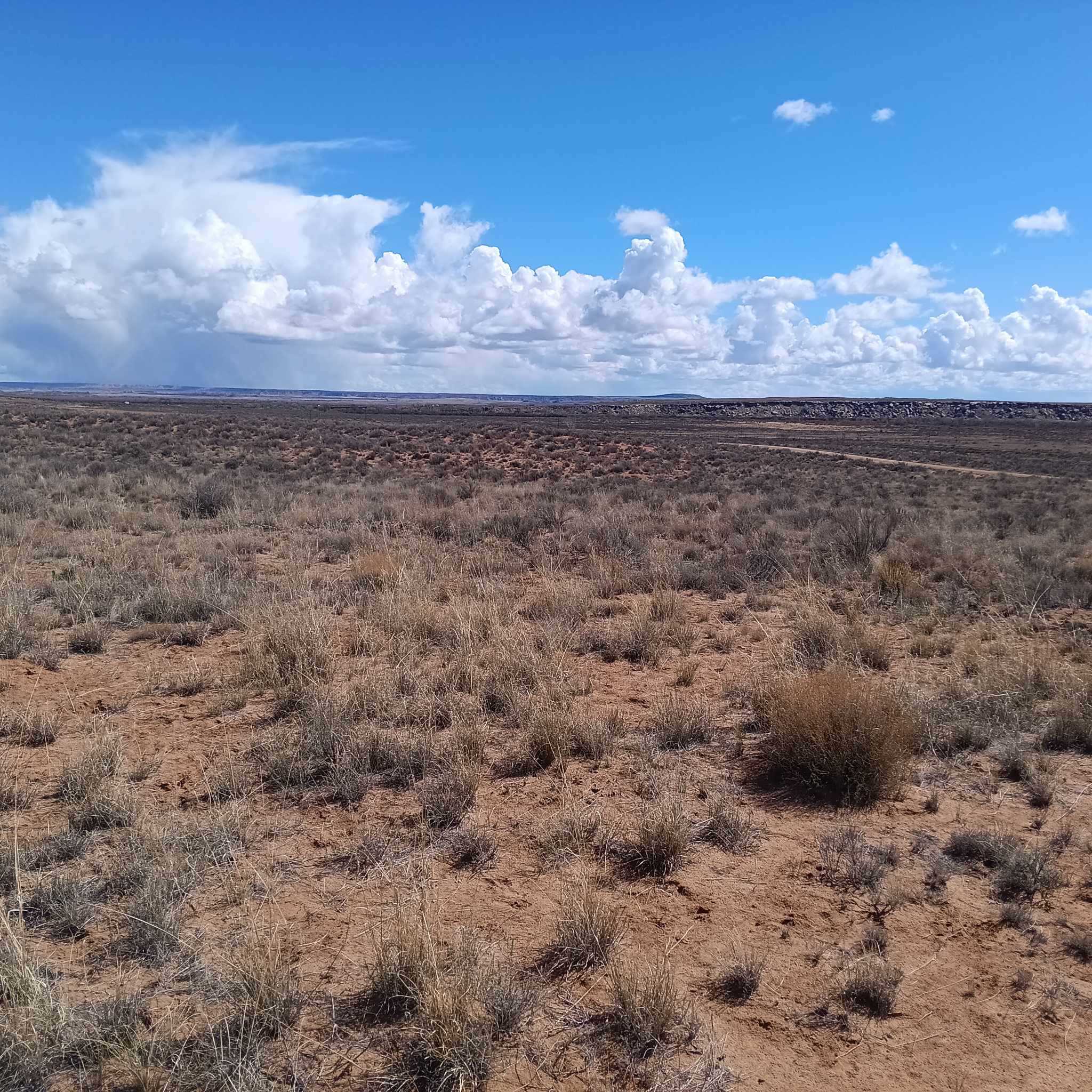 Beautiful Desert Skies - Hipcamp in Sun Valley, Arizona
