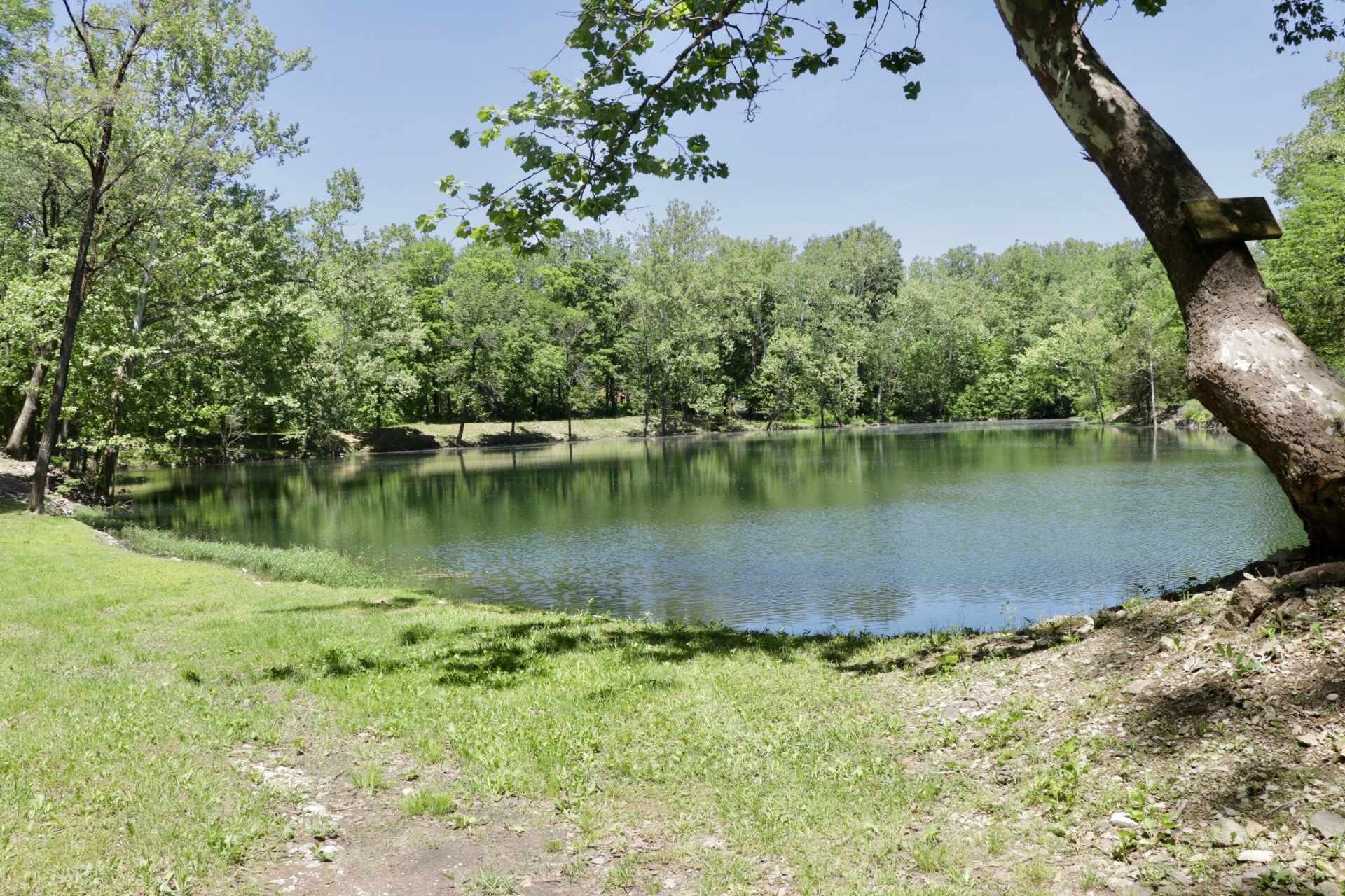 Riverfront Camping, White Rock Park - Hipcamp in St Paul, Indiana
