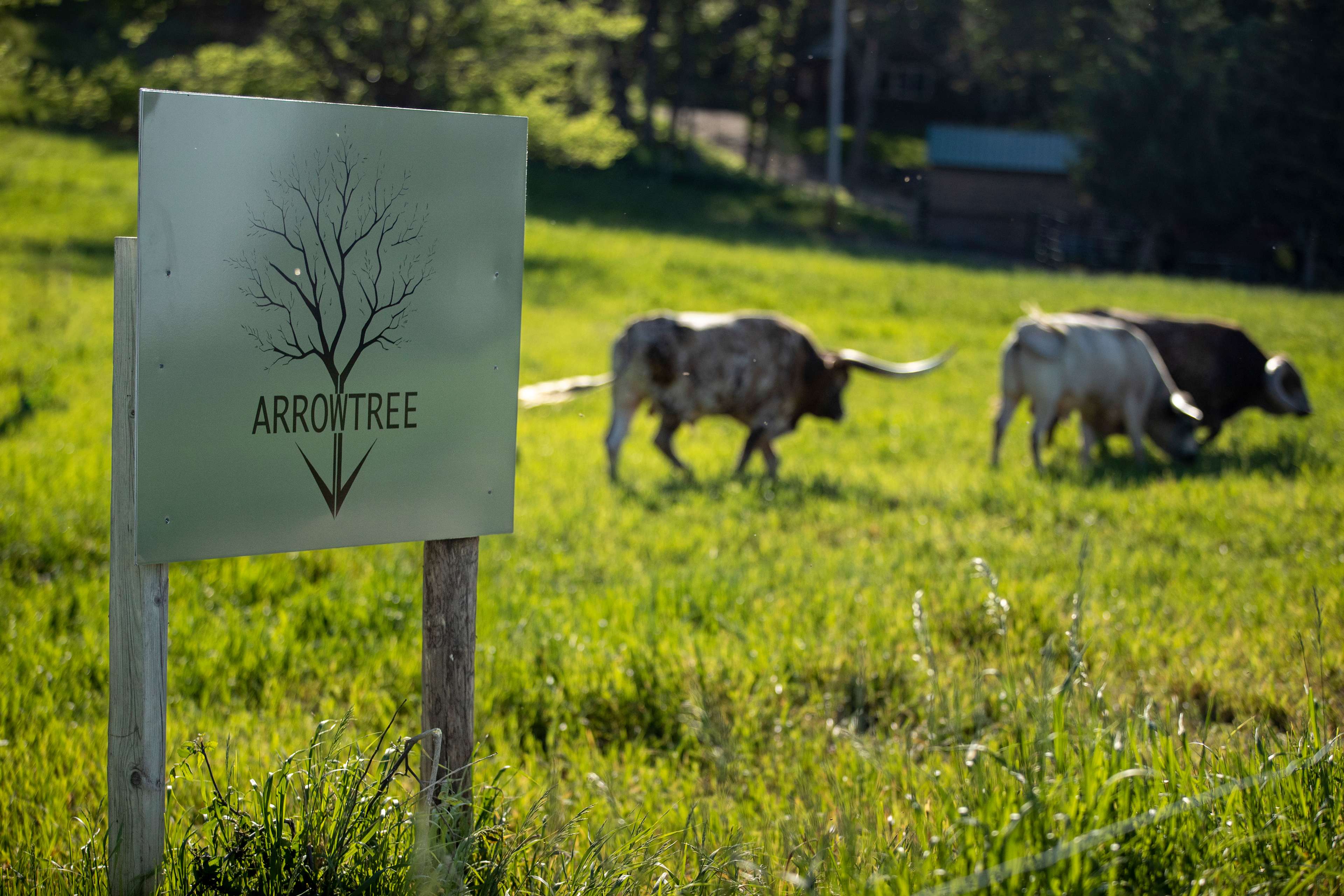 Arrowtree Campgrounds - Hipcamp in Homer, Nebraska