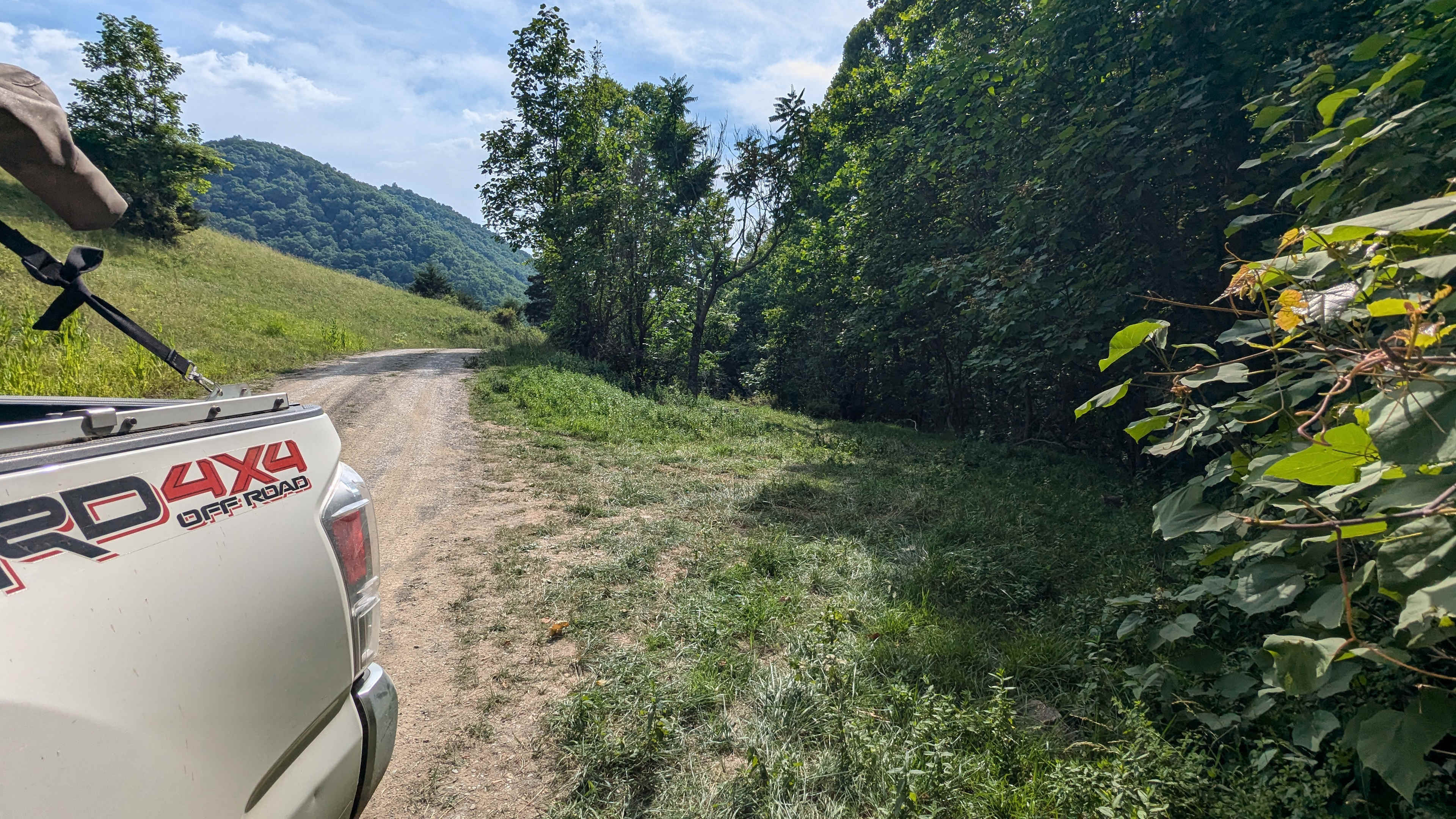 Fourth Moon Camp - Hipcamp in Seneca Rocks, West Virginia