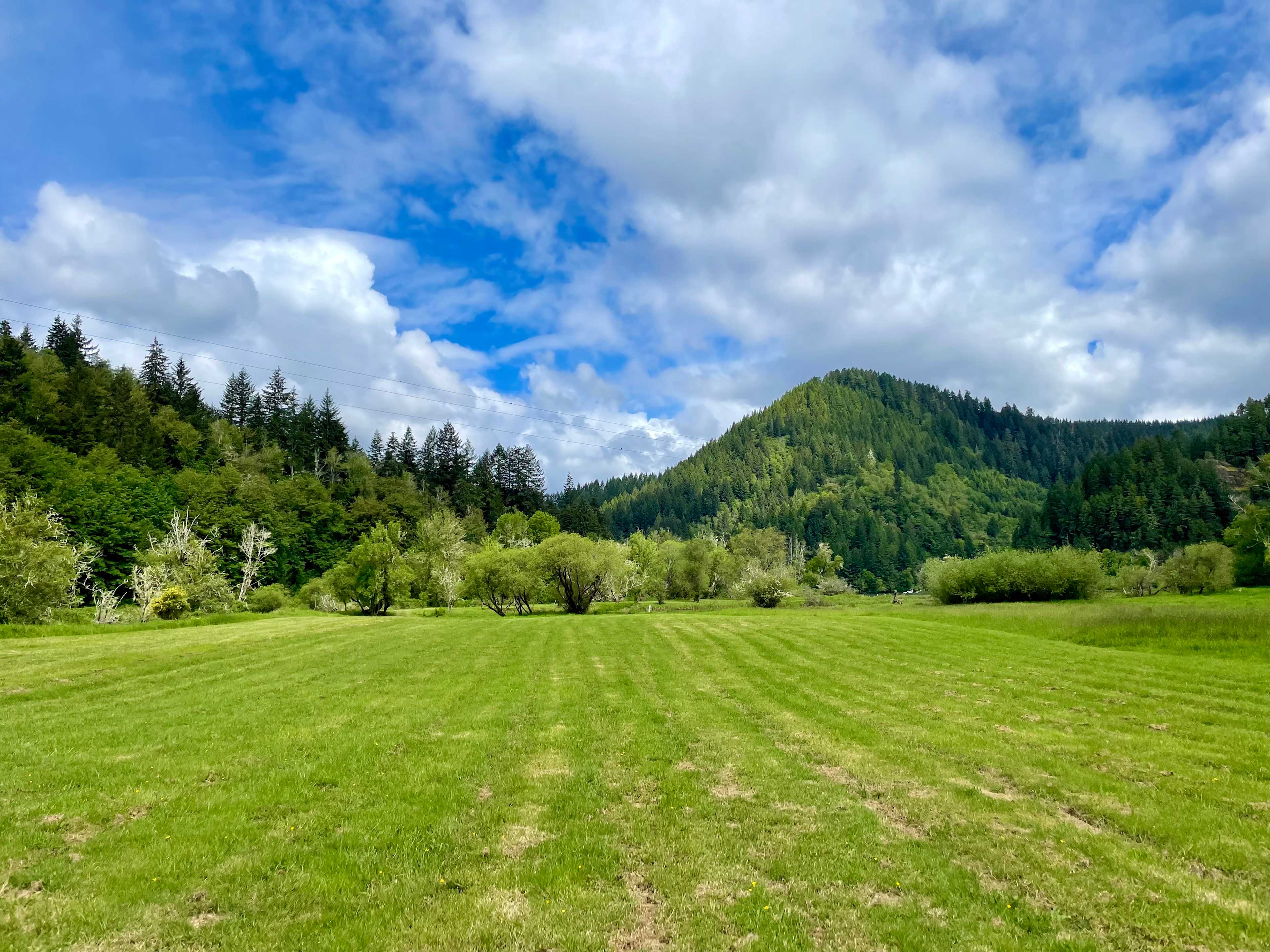 The Park at Loon Lake - Hipcamp in Reedsport, Oregon