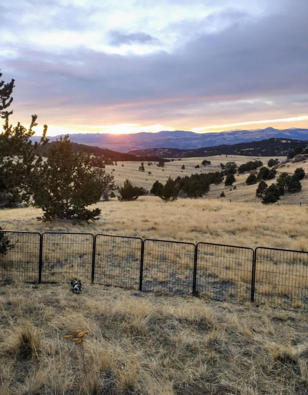 Hidden Haven by the Casinos - Hipcamp in Cripple Creek, Colorado