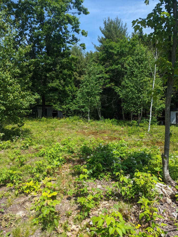 Primitive Clothing Optional Camping - Hipcamp in Grafton, New Hampshire