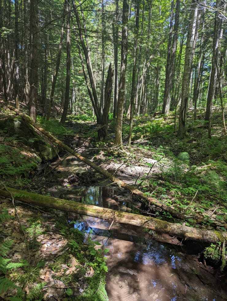 Primitive camping in New Hampshire - Camping Ground Info