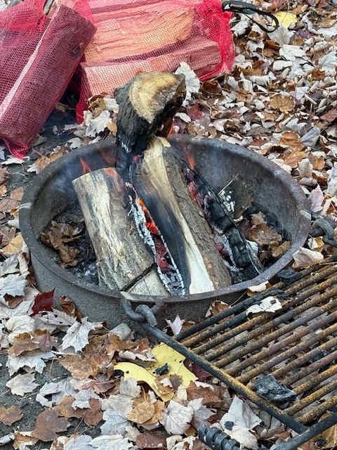 Campit Outdoor Resort - Hipcamp in Fennville, Michigan