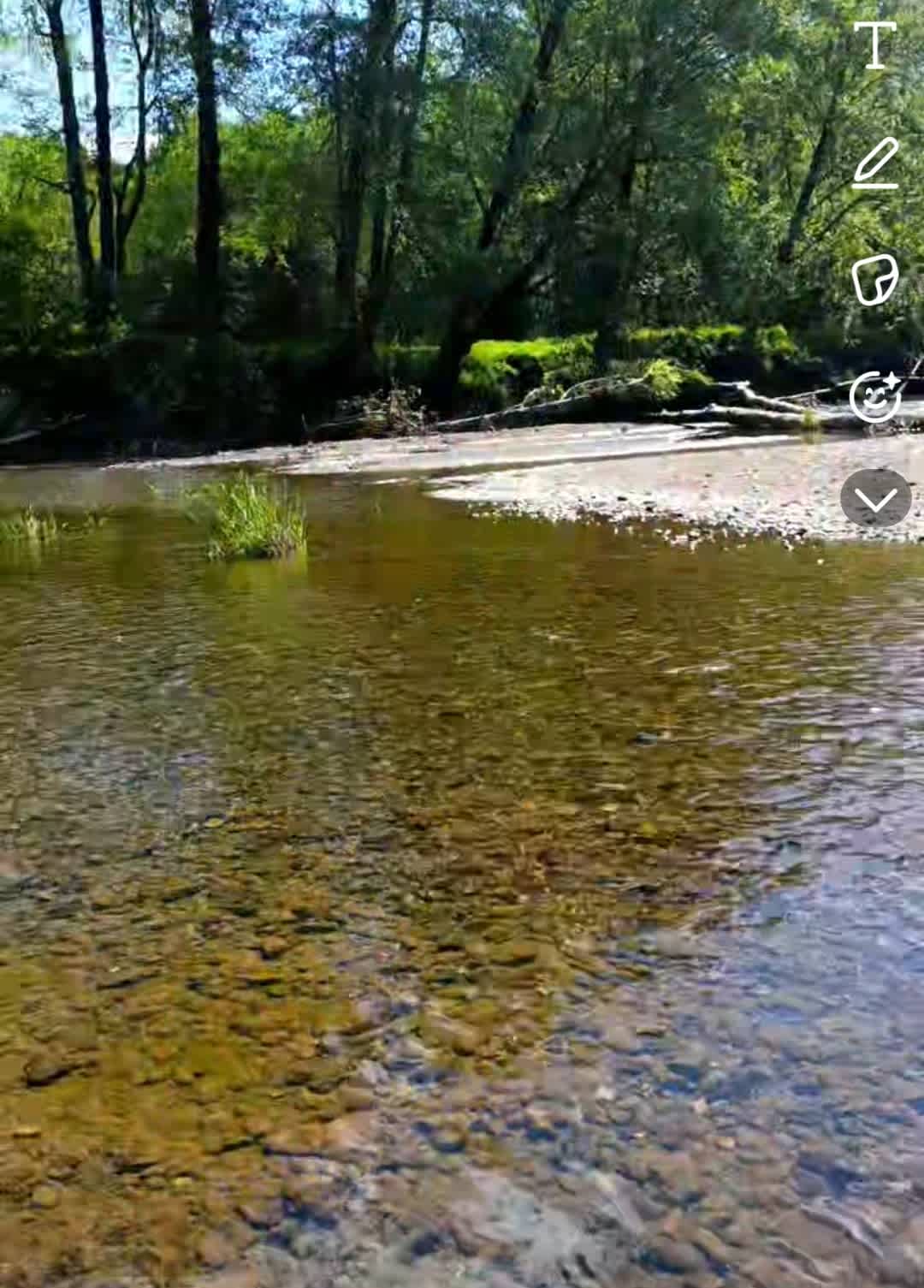 Riverfront fun - Hipcamp in Grays River, Washington