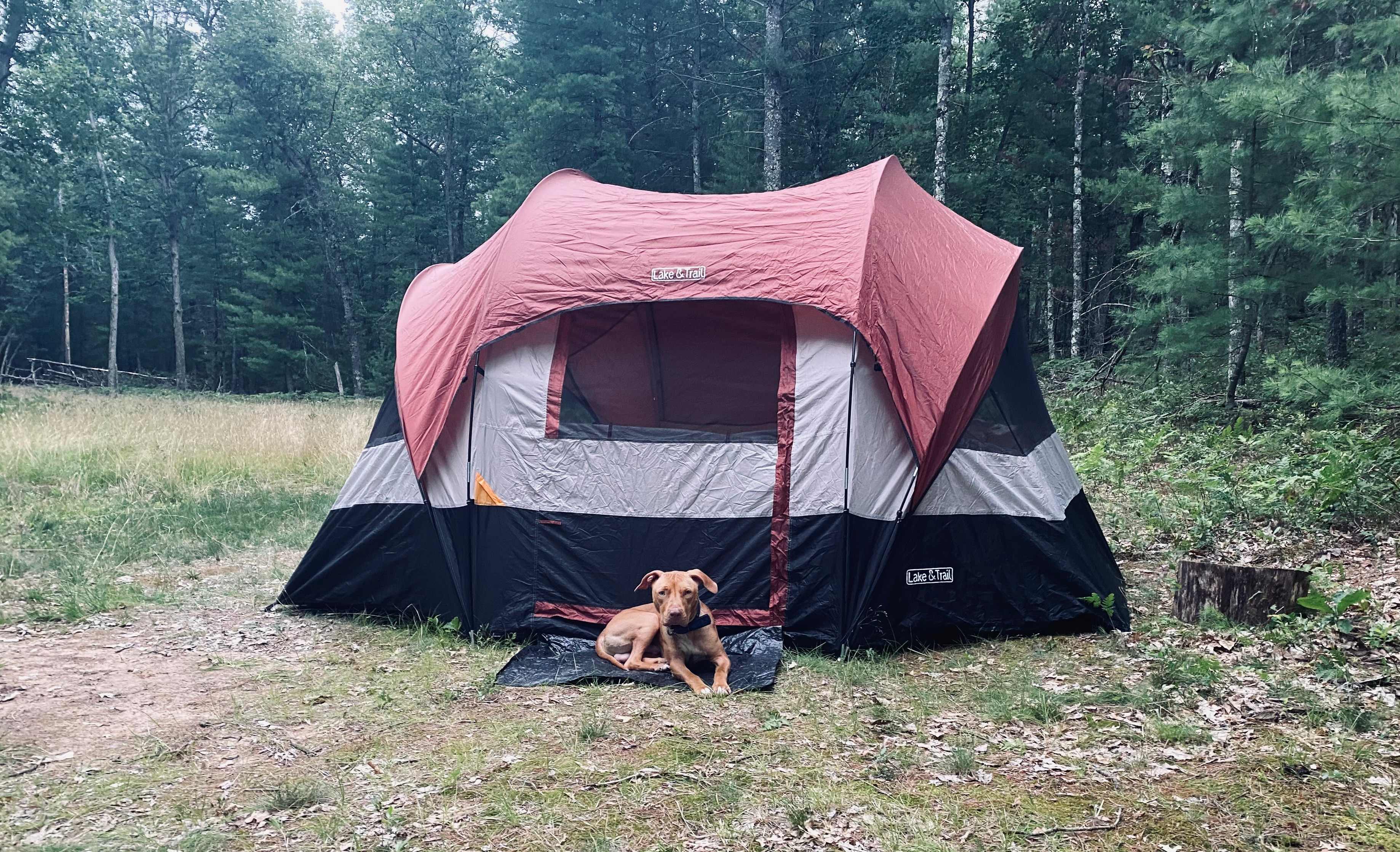 Hidden Pond & River Oasis - Hipcamp in Idlewild, Michigan