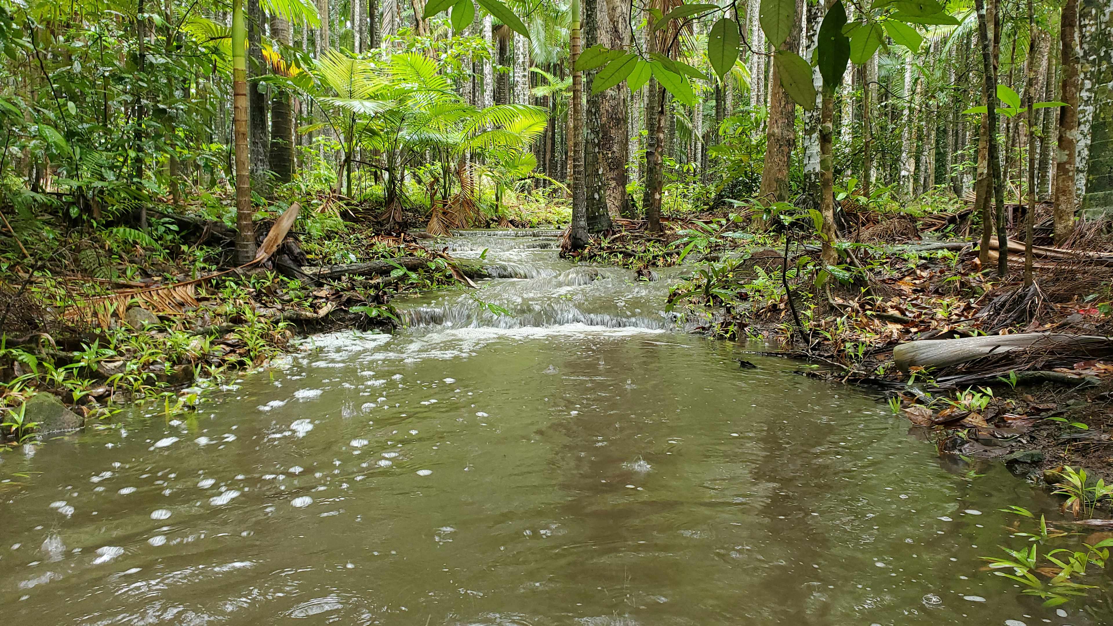 Mt Jukes Paradise Stayz - Hipcamp in Mount Jukes, Queensland