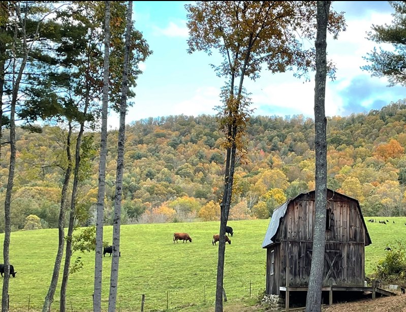 Camping Near Asheville, NC, US: 12 Best Campgrounds 2025 | Hipcamp