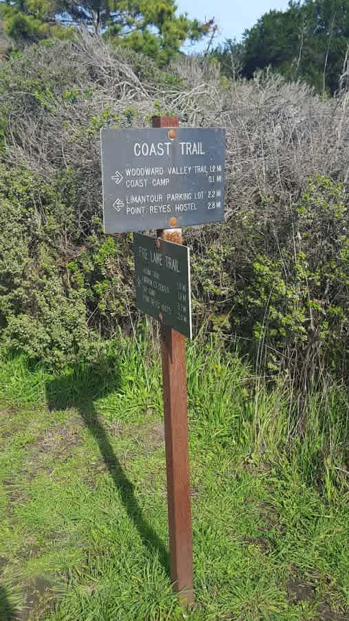 Coast Campground in Point Reyes National Seashore, California: Reviews ...